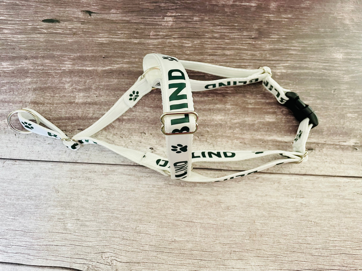 ff_ab357c8d-e190-4232-99b8-3caf50d15c29_1200x1200.jpg?v=1625599574